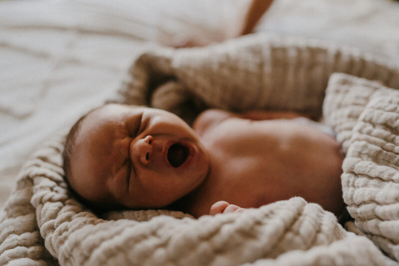 PORTFOLIO – Alexandra Murcia