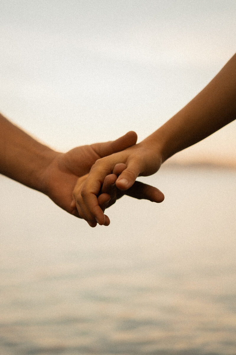 Portfolio - Alexandra Murcia